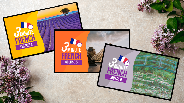 How do you say "my" in French? – 3 Minute Languages